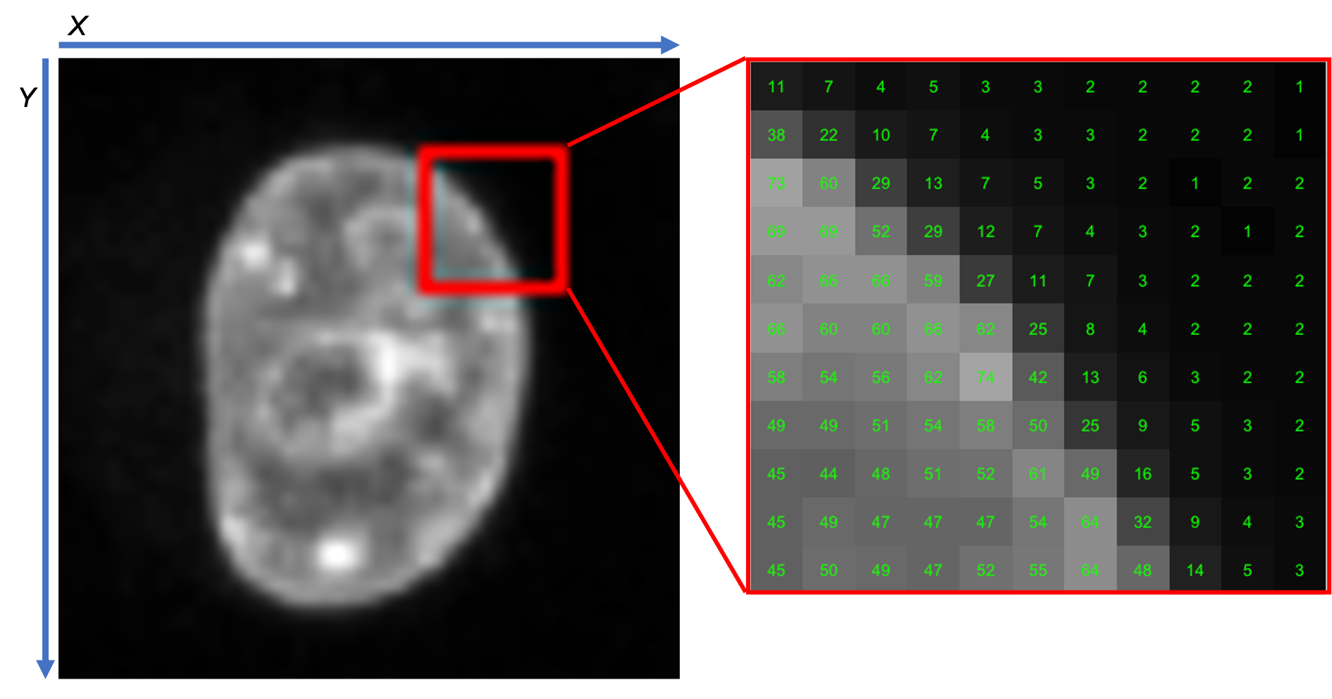 Basic Properties Of Images And Pixels Image Analysis Training Resources